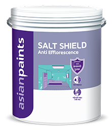 SmartCare Salt Shield - A salinity resistant primer suitable for both ...