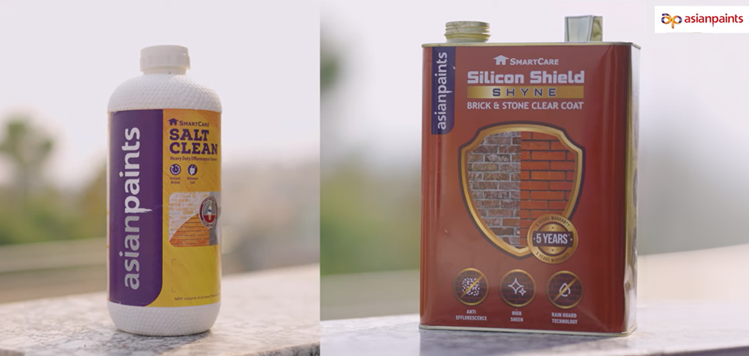 Smart Care Salt Clean- Heavy Duty Efflorescence Cleaner