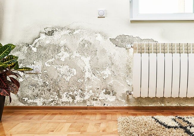 Efflorescence: A Problem That Requires an Expert Solution - Blogs Asian ...