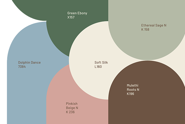 Felicity Colour Next