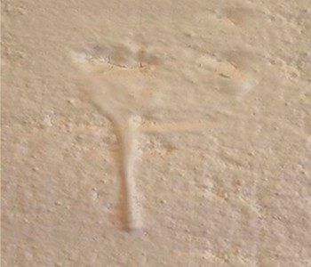 common-painting-problem-sags-and-runs-asian-paints