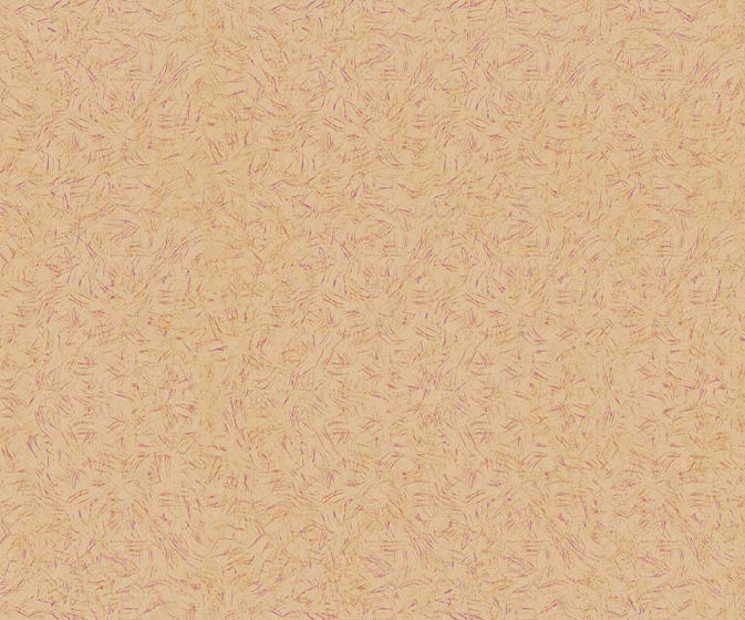 Asian Paints Interior Wall Textures