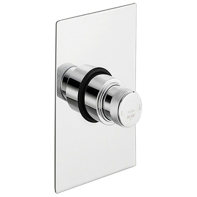 Concealed Body Flush Valve