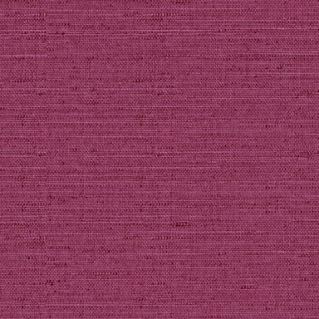 Carter 8 | Beautiful Homes