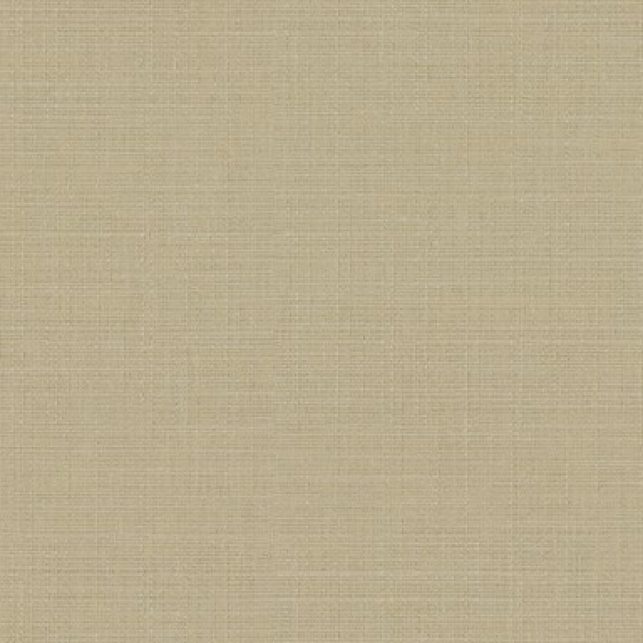 Essentials 12 (Matka) Matka Sweetcorn | Beautiful Homes