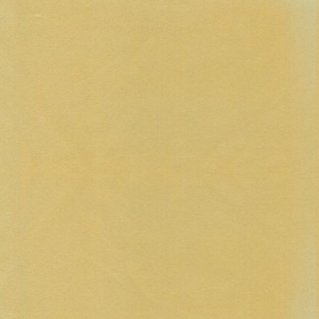 Essentials 40 Bakshi Impala | Beautiful Homes